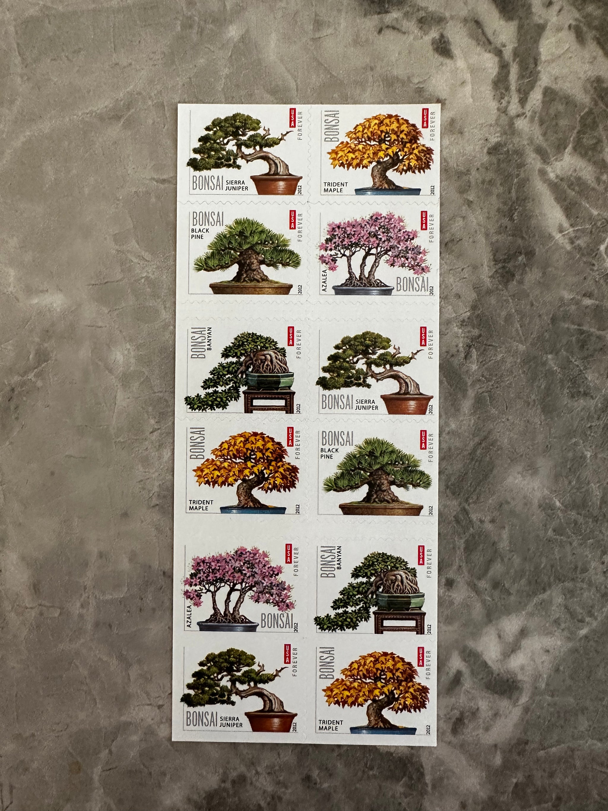 USPS Bonsai Forever Postage Stamps – Stamps Store